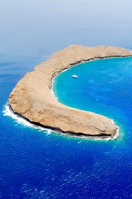 South Maui: Molokini Wild Eco Adventure from Maalaea Harbor - Snorkeling at Molokini: The Star of the Show