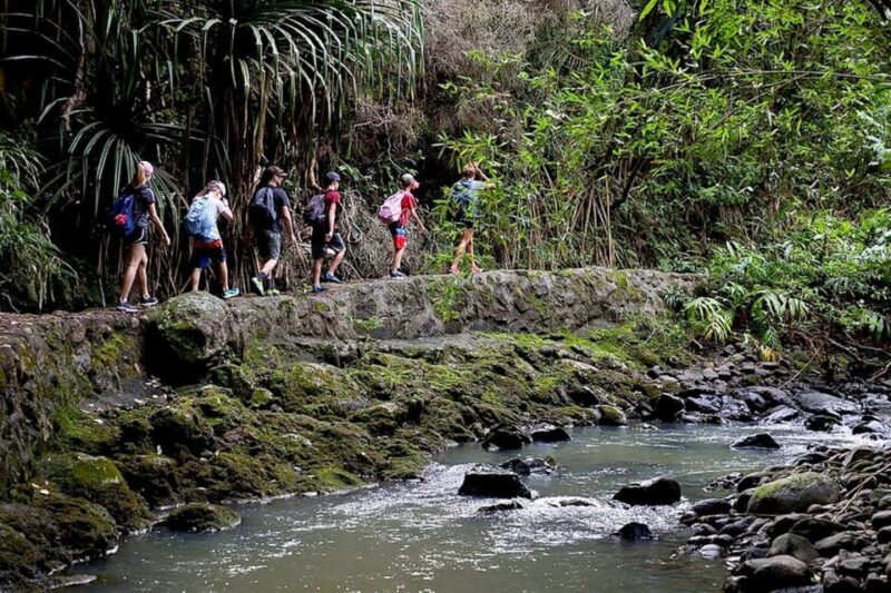 South Maui: Waterfall Tour w/ Kayak, Snorkel, and Hike - The Experience and Its Value