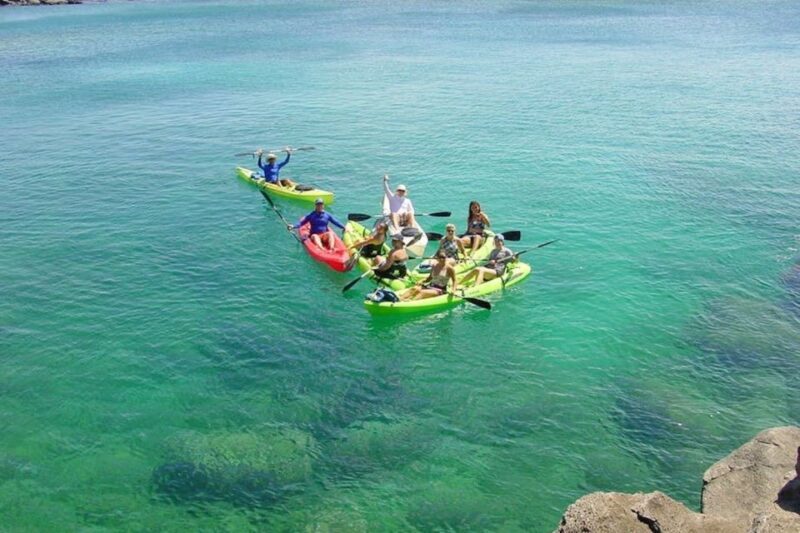 South Maui: Waterfall Tour w/ Kayak, Snorkel, and Hike - Who Will Love This Tour?