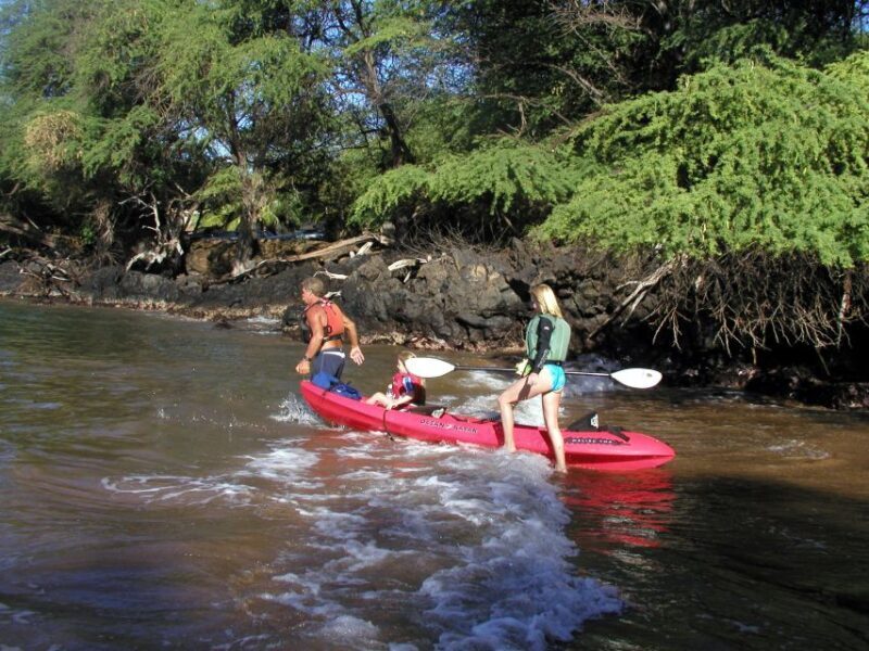 South Maui: Whale Watch Kayaking and Snorkel Tour in Kihei - The Authenticity of the Experience