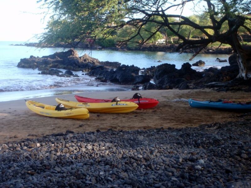 South Maui: Whale Watch Kayaking and Snorkel Tour in Kihei - Who Should Consider This Tour?