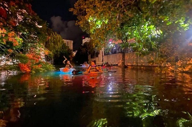 South Miami Beach Night Clear Kayaking Glow Tour - Who Is This Tour Best For?