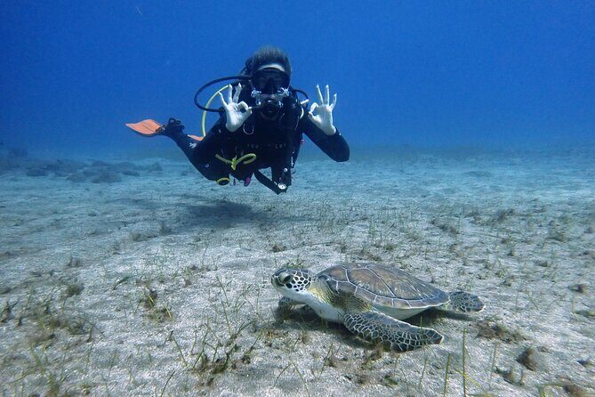 South of Tenerife : DSD Scuba Diving for beginners, Adeje - Key Points