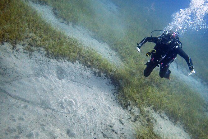 South of Tenerife : DSD Scuba Diving for beginners, Adeje - The Itinerary Explained