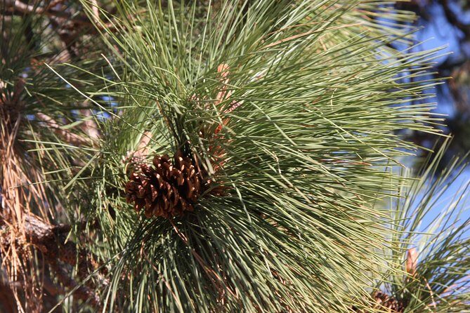 South Okanagan Desert Tour - Who Would Enjoy This Tour?