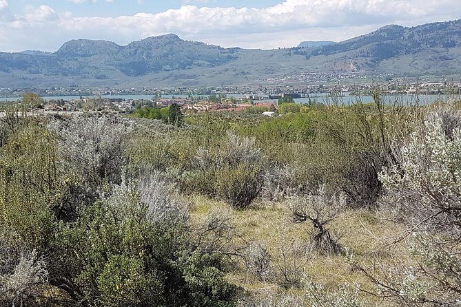 South Okanagan Desert Tour - FAQ
