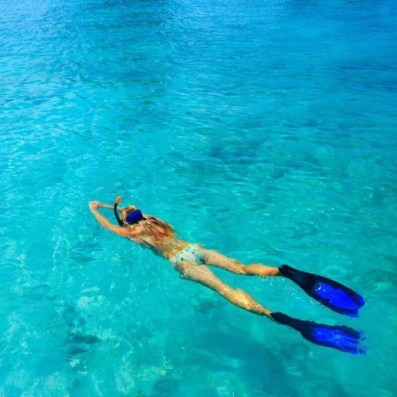 South Padre Island: North Bay Snorkeling Tour - Key Points