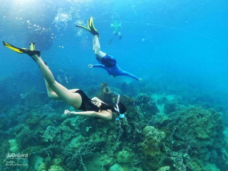 South Phu Quoc: Pro Snorkeling Tour by Speedboat - Introduction: A Snorkeling Tour Worth Considering in Phu Quoc