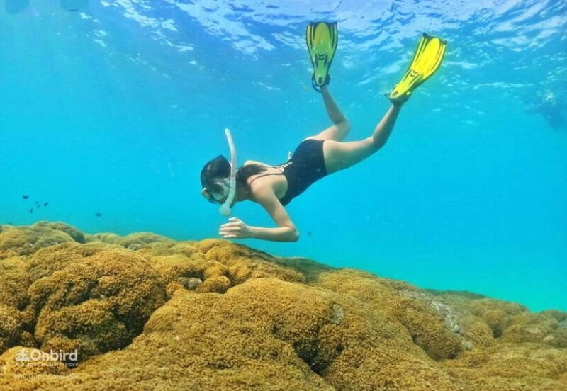 South Phu Quoc: Pro Snorkeling Tour by Speedboat - The Gear and Safety