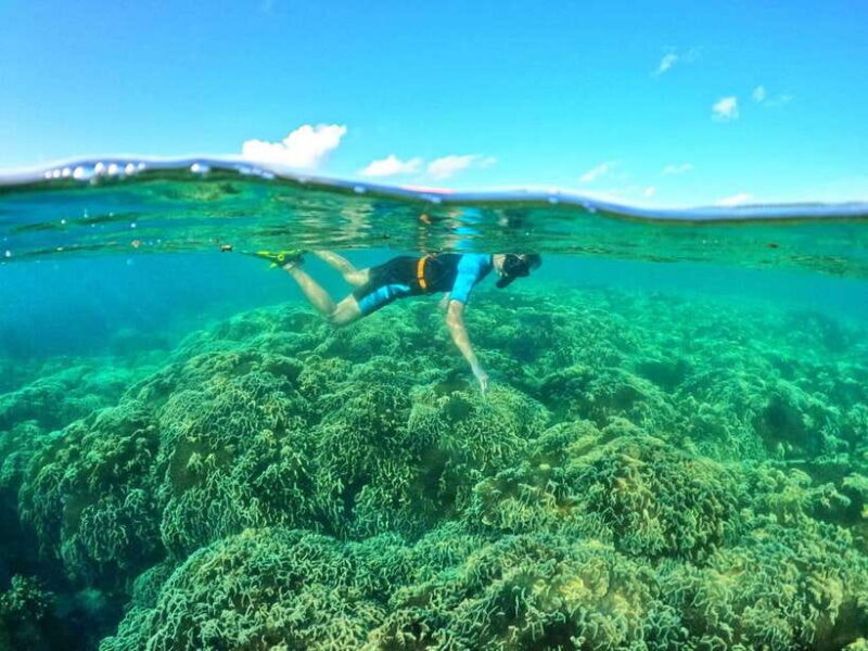 South Phu Quoc: Pro Snorkeling Tour by Speedboat - The Sum Up: Why Choose This Snorkeling Tour?