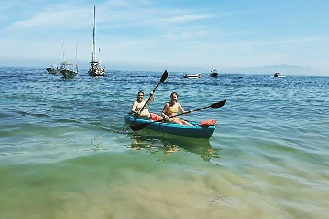 South Shore Private Sightseeing Cruise in Puerto Vallarta - Value and Pricing: Whats Included and Whats Extra