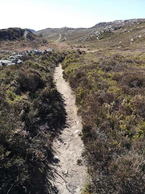 South Stack: Coastal Walking Tour with Café & History - Who Will Appreciate This Tour?