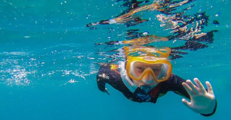 South Tenerife: Guided Snorkeling - A Closer Look at the Snorkeling Adventure in South Tenerife