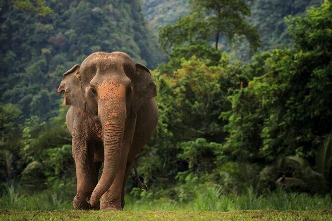 South Thailand: Riding The Coastline of Dreams (12 Day Tour) - The Sum Up: Who Should Book This Tour?