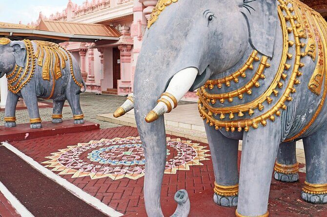 South Tour (Package) to Trinidad Pitch Lake & Datatria Temple - The Natural Wonder: Pitch Lake