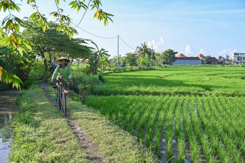 South Ubud: Electric Mountain Bike Tour - Heart of the Rice Fields - Half Day (Private) - Key Points