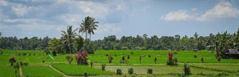 South Ubud: Electric Mountain Bike Tour - Heart of the Rice Fields - Half Day (Private) - An In-Depth Look at the Experience