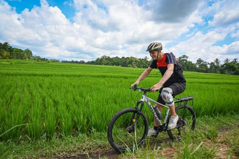 South Ubud: Electric Mountain Bike Tour - Heart of the Rice Fields - Half Day (Private) - Practical Details and Value
