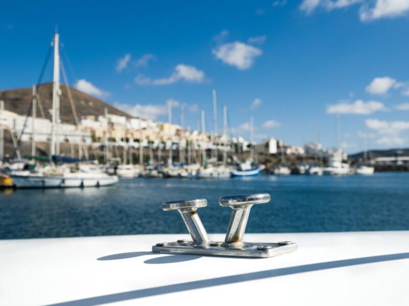 Southeast Fuerteventura: Boat Cruise with Lunch and Drinks - The Sum Up