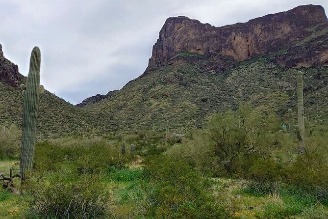 Southern Arizona Full-Day Historical Tour from Phoenix - Private Tour - The Sum Up