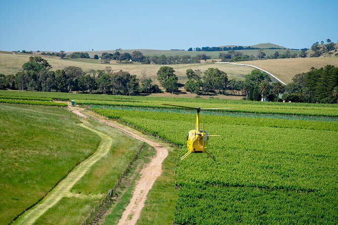Southern Barossa: 10-Minute Helicopter Flight - Who Will Enjoy This Tour Most?