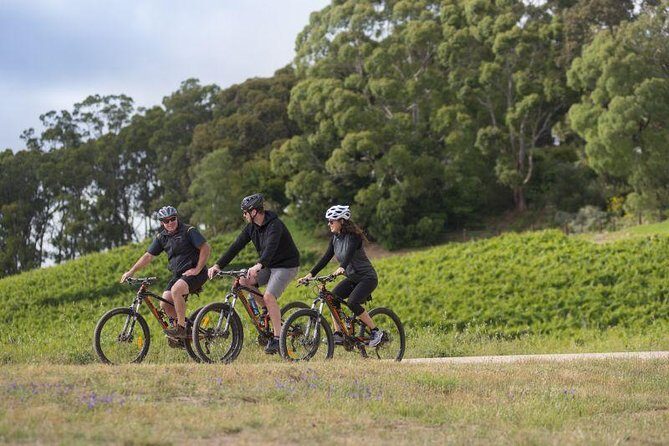 Southern Barossa: 10-Minute Helicopter Flight - Authentic Voices: What Travelers Say