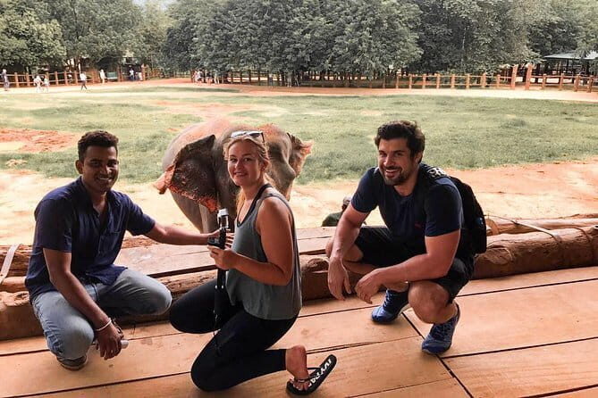 Southern Beaches of Serendib (10 Days) - What Travelers Are Saying (Based on Reviews)