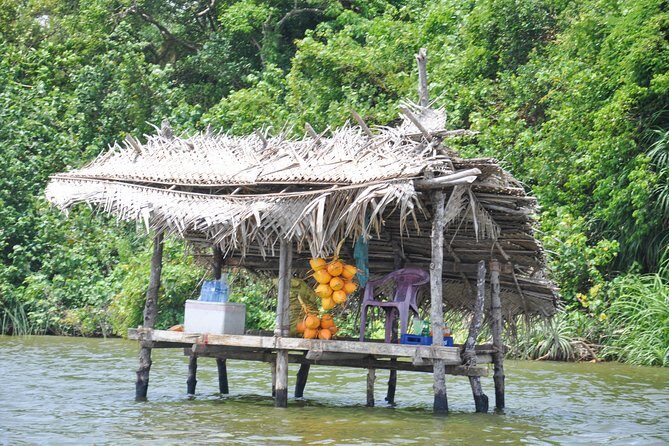 Southern Coast Highlights and River Safari from Balapitiya - Final Thoughts