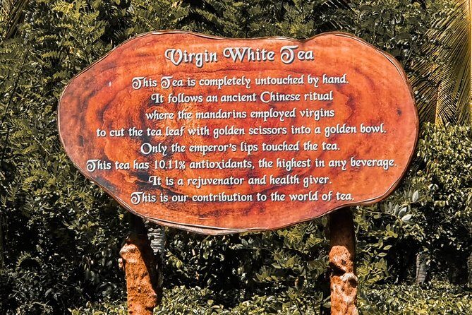 Southern Coast Highlights from Colombo - What to Expect from the Tour