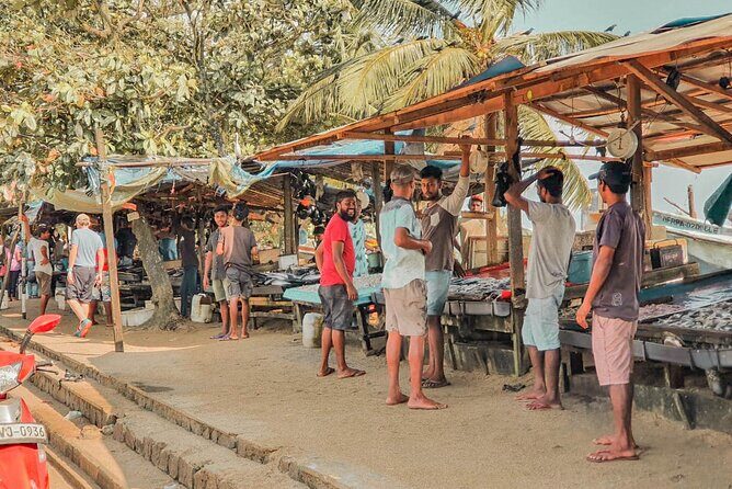 Southern Coast Highlights from Colombo Seaport - Return to Colombo: A Long but Fulfilling Day