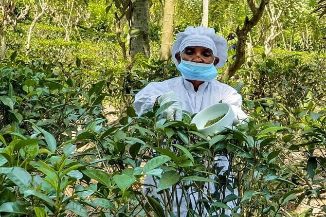 Southern Coast Highlights from Hambantota - Exploring Hambantota: Starting Point for the South Coast