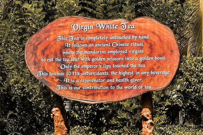 Southern Coast Highlights from Hambantota - Galle Fort Lighthouse: The Coastal Beacon