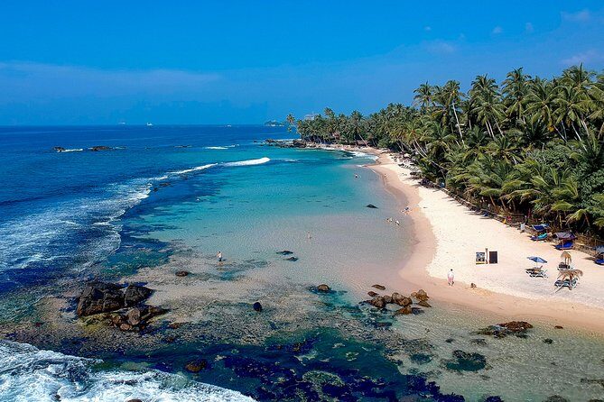 Southern Coast Highlights from Unawatuna - What’s in Store on This Day Trip?