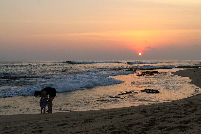 Southern Coast Highlights from Unawatuna - Insights from Reviews and Practical Tips