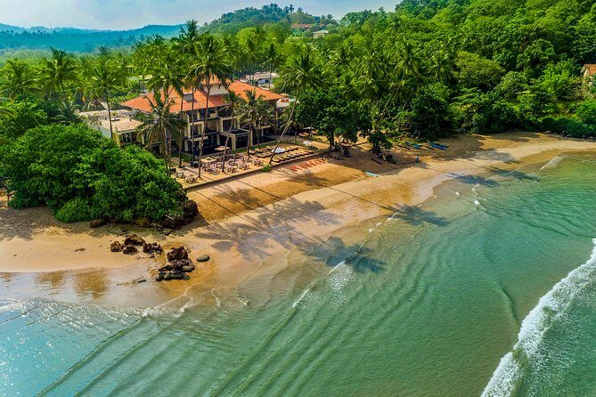 Southern Coast Highlights from Unawatuna - Why This Tour Is a Great Choice