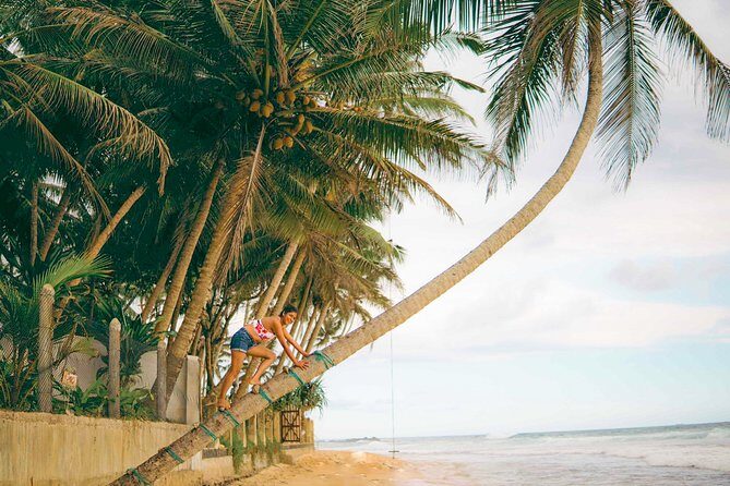 Southern Coast Highlights from Unawatuna - FAQ