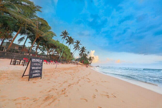Southern Coast Highlights from Wadduwa - The Itinerary in Detail