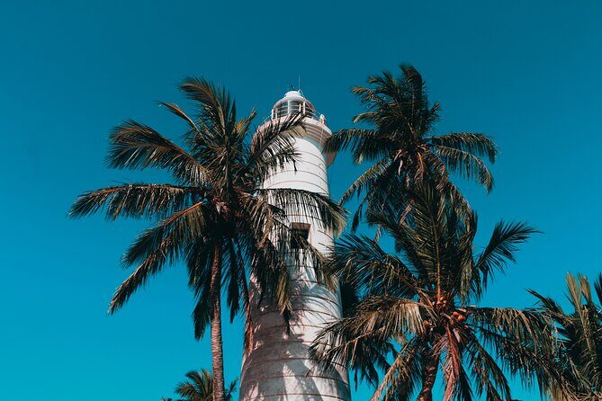 Southern Coast Highlights Tour from Bentota - Analyzing the Value and Experience