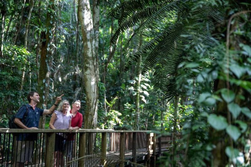 Southern Daintree Explorer Tour - Half Day - Price and Value Analysis