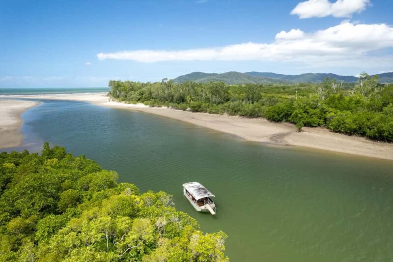 Southern Daintree Explorer Tour - Half Day - Practical Tips for Travelers