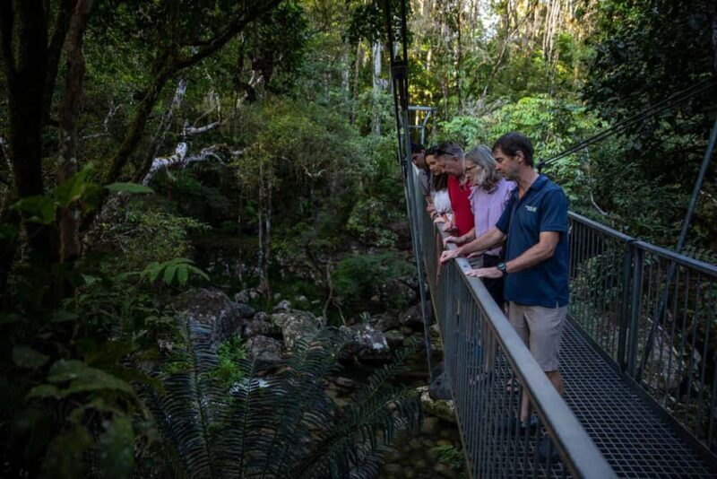 Southern Daintree Explorer Tour - Half Day - Frequently Asked Questions