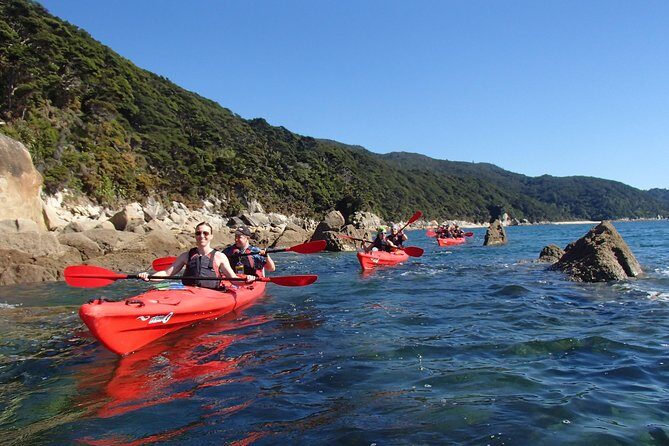 Southern Duo kayak & walk tour - Key Points