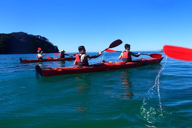 Southern Duo kayak & walk tour - Frequently Asked Questions (FAQs)