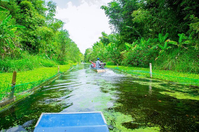 Southern Forest Tour  Explore Hau Giang Nature - A Closer Look at the Itinerary