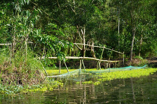 Southern Forest Tour  Explore Hau Giang Nature - FAQ