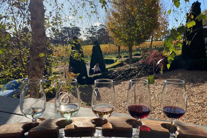 Southern Highlands Full-Day Wine Tour - Scenic Journey Through the Southern Highlands