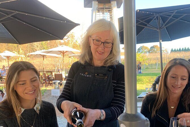 Southern Highlands Full Day Wine Tour Sydney Pick Up - Why This Tour Appeals to Different Travelers