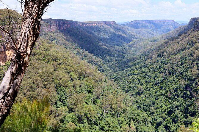 Southern Highlands Private Tour with Wine, Waterfall and Garden - Who Should Consider This Tour?