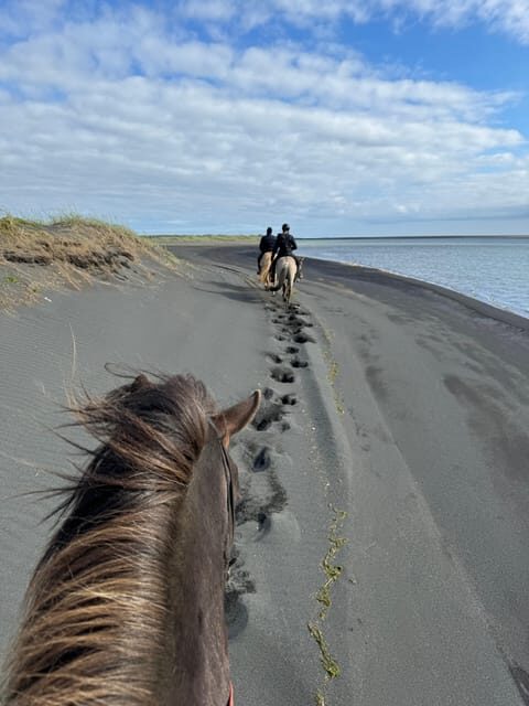 southern Iceland: Black beach riding tour - Who Should Consider This Tour?