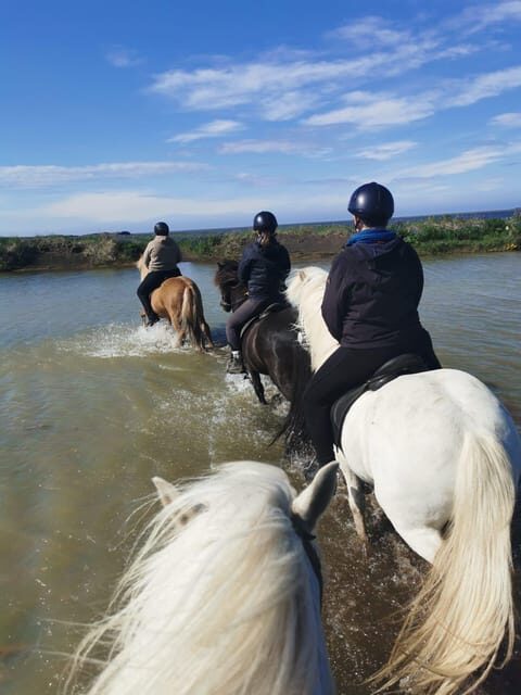 southern Iceland: Black beach riding tour - Practical Tips for Your Ride